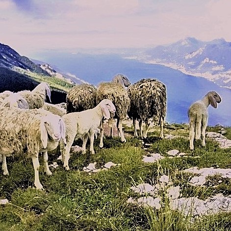 Bolz Isn’t Enough: The Deeper Decay Inside the Charismatic Movement ...