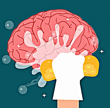 Conditioning You for Socialism (Starting With Your Toilet) | Christian ...